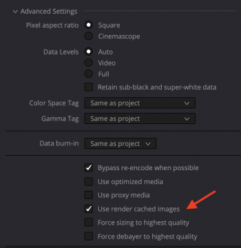 Resolving rendering issues in DaVinci Resolve - Mirko Fabian